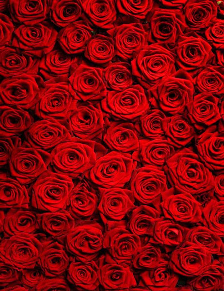 Red Rose Wall For Wedding Photography Backdrop J-0257 – Shopbackdrop